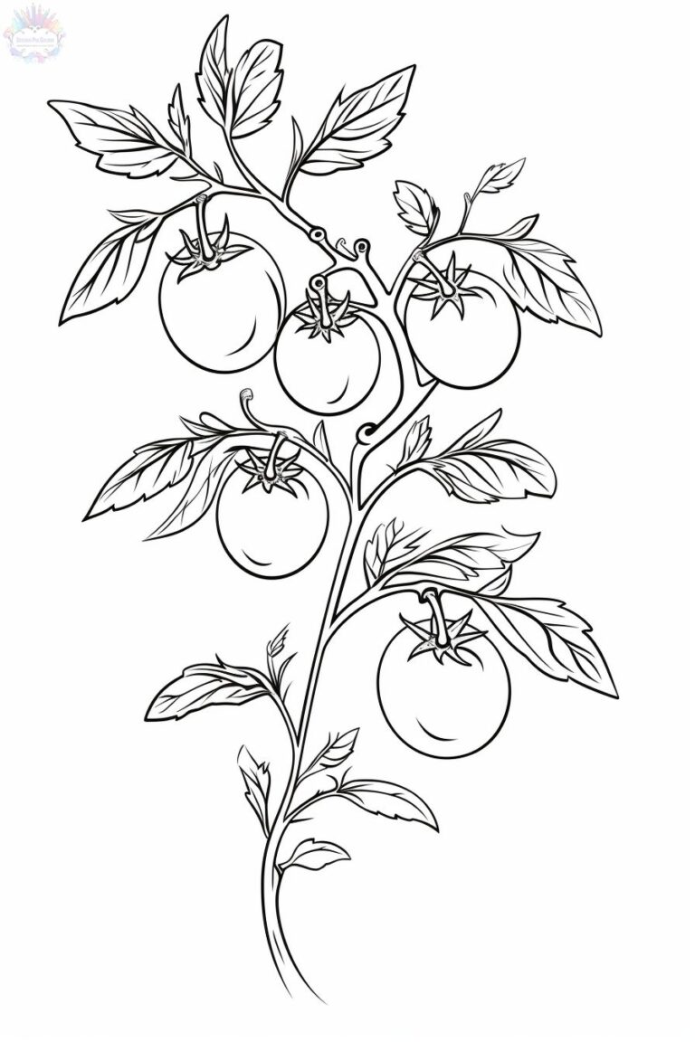Dibujos de Tomate Para Colorear